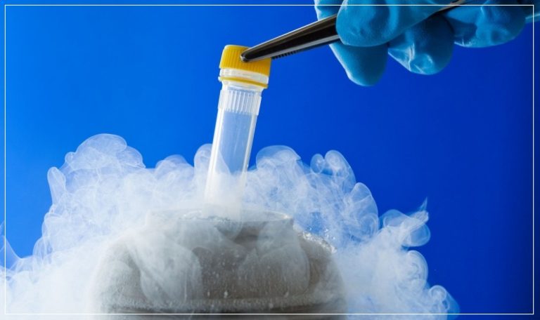 Leading Cryopreservation Centre: Cryotec Vitrification Solutions Set