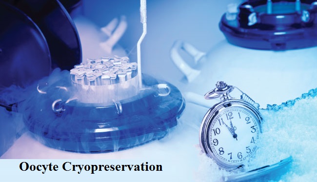 Leading Oocyte Cryopreservation Clinics in India