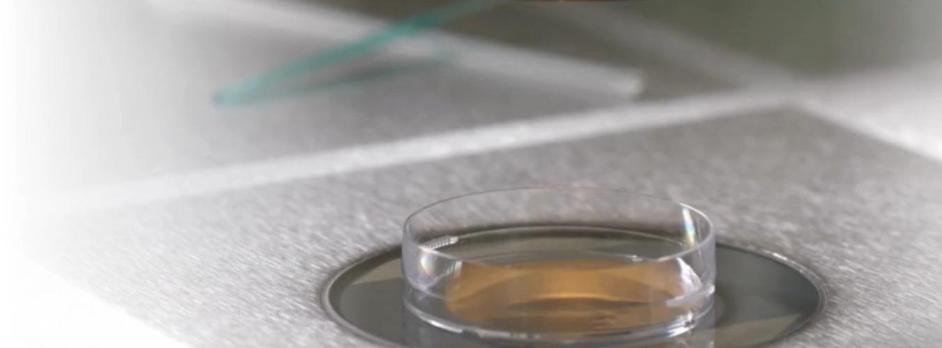IVF Products for Clinics, Cryotec, PRP and LIT for Fertility